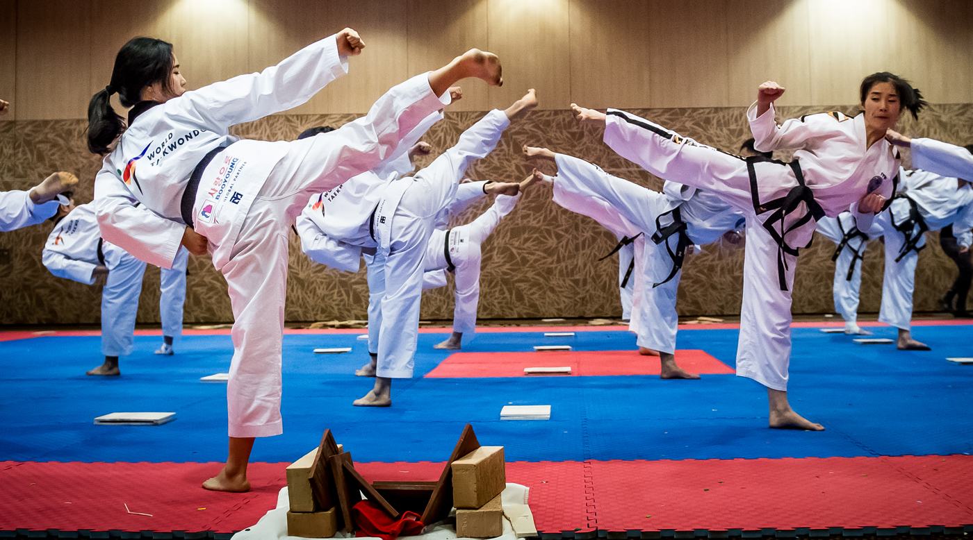 WT-ITF 시범단, 비엔나에서 유럽 합동공연 서막 올려